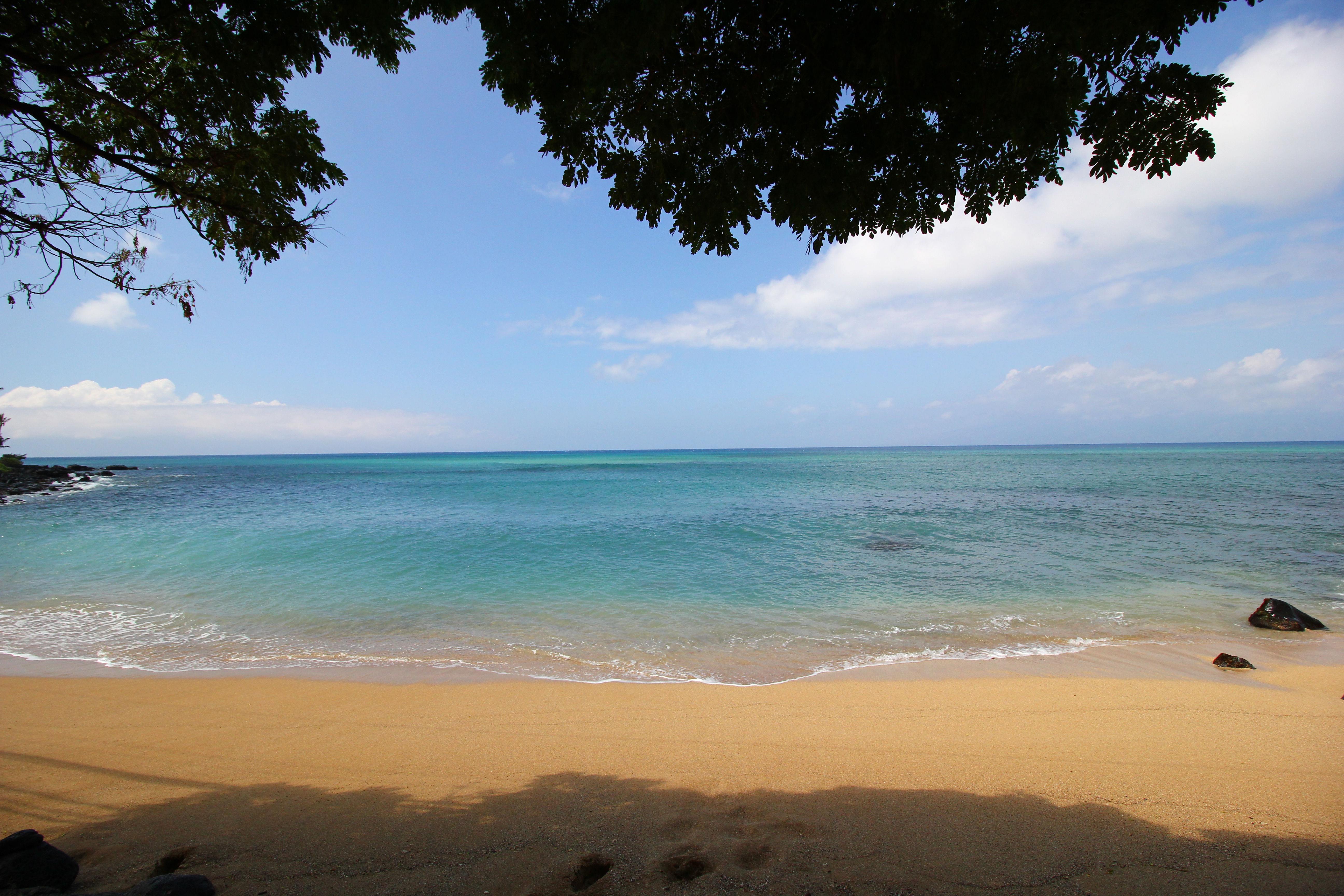 IMG_0487 – Dr. Blake Porter